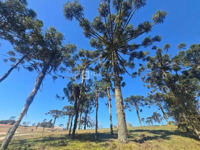 Terreno / Lote para Venda em Rancho Queimado/SC Centro