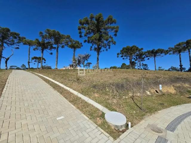 Terreno / Lote para Venda em Rancho Queimado/SC Centro