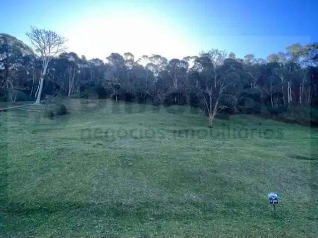 Terreno / Lote para Venda em Rancho Queimado/SC Centro