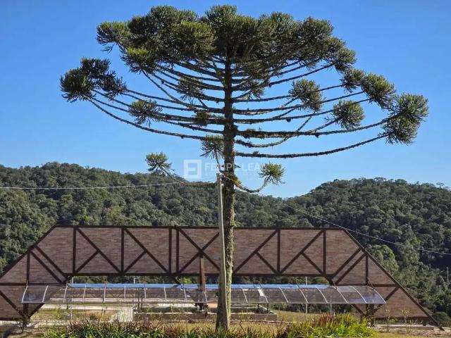 Terreno / Lote para Venda em Rancho Queimado/SC Centro