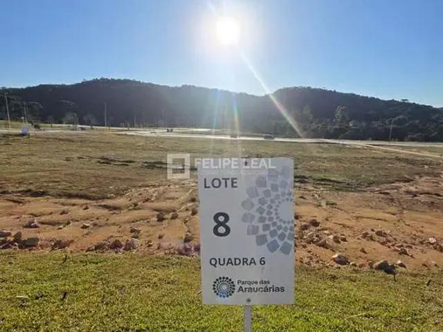 Terreno / Lote para Venda em Rancho Queimado/SC Centro