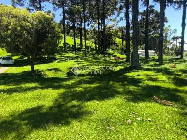 Terreno / Lote para Venda em Rancho Queimado/SC Centro