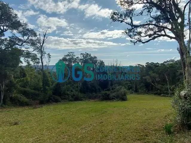 Terreno / Lote para Venda em Rancho Queimado/SC Centro