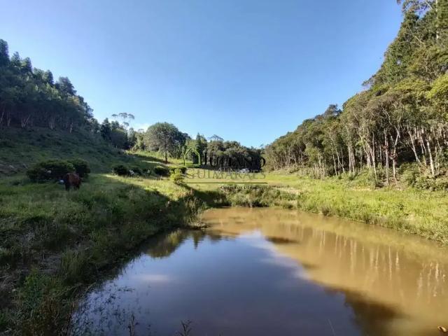 Terreno / Lote para Venda em Rancho Queimado/SC Morro Chato
