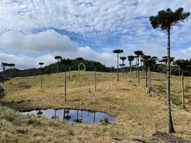 Terreno / Lote para Venda em Rancho Queimado/SC Queimada Grande