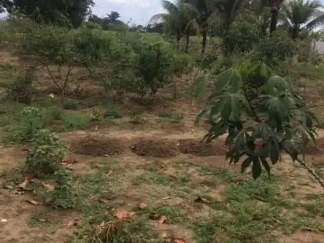 Terreno / Lote para Venda em Recife/PE Área Rural de Recife 1 Quartos