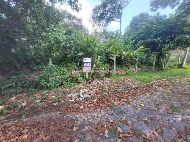 Terreno / Lote para Venda em Recife/PE Sítio dos Pintos