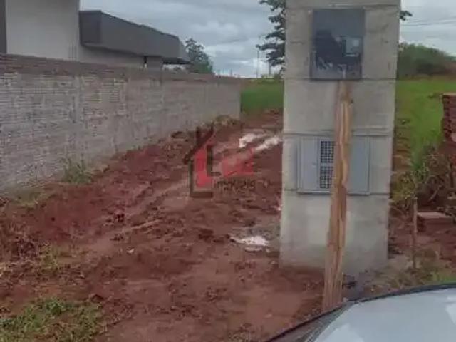 Terreno / Lote para Venda em Regente Feijó/SP Jardim Primavera