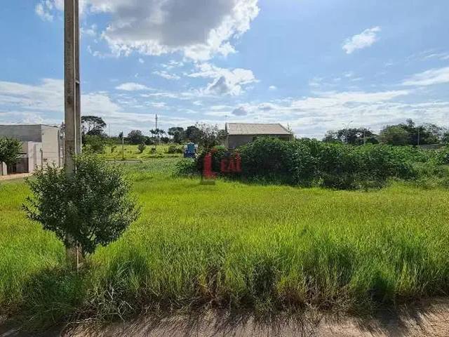 Terreno / Lote para Venda em Regente Feijó/SP Jardim Primavera