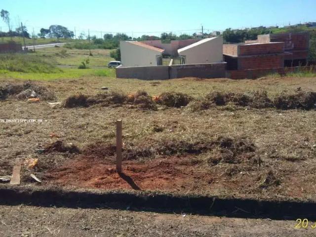 Terreno / Lote para Venda em Regente Feijó/SP Jardim Primavera