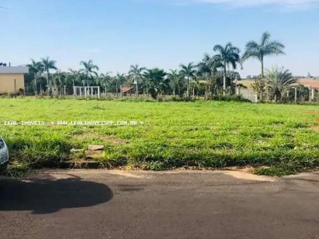 Terreno / Lote para Venda em Regente Feijó/SP Zona Rural