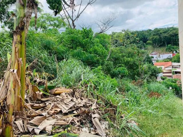 Terreno / Lote para Venda em Registro/SP Jardim São Conrado