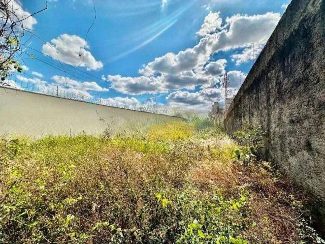 Terreno / Lote para Venda em Rio Claro/SP Vila Operária