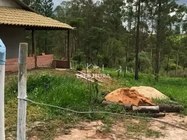 Terreno / Lote para Venda em Rio Claro/SP Jardim Anhangüera