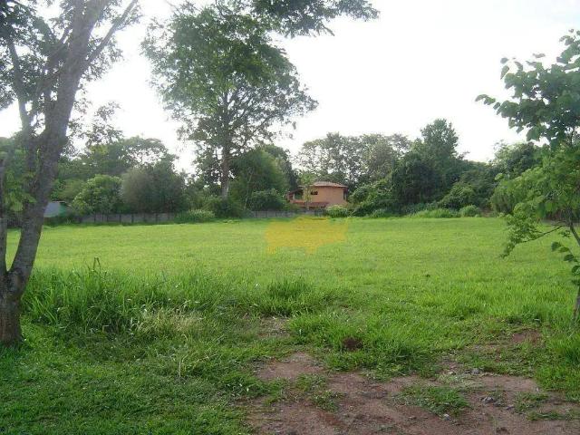 Terreno / Lote para Venda em Rio Claro/SP Residencial Florença