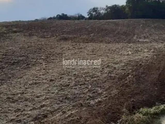 Terreno / Lote para Venda em Rio Azul/PR Zona Rural