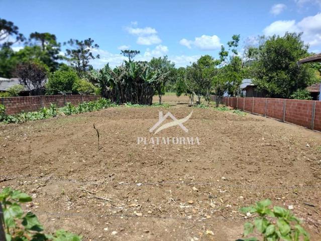 Terreno / Lote para Venda em Rio do Campo/SC Floresta