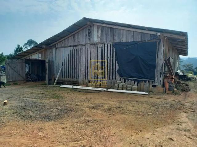 Terreno / Lote para Venda em Rio dos Cedros/SC Alto Cedros