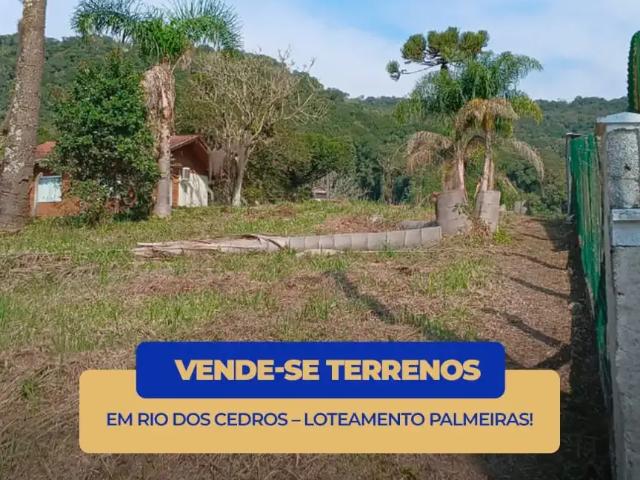 Terreno / Lote para Venda em Rio dos Cedros/SC Alto Palmeiras