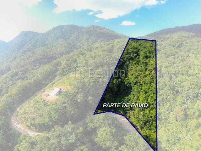 Terreno / Lote para Venda em Rio dos Cedros/SC Cedro Alto