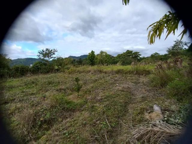 Terreno / Lote para Venda em Rio dos Cedros/SC Centro