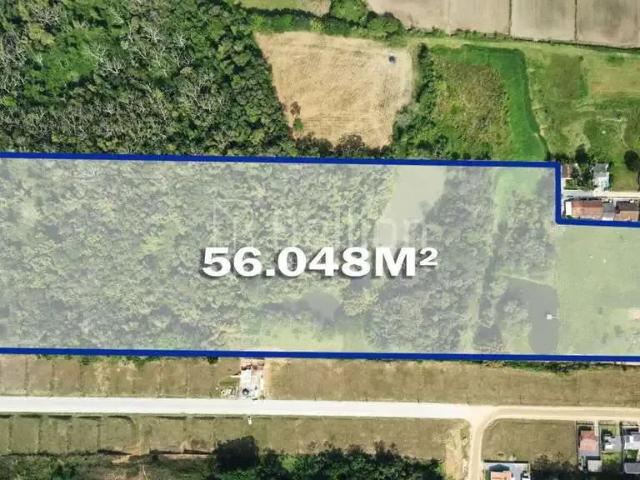 Terreno / Lote para Venda em Rio dos Cedros/SC Centro