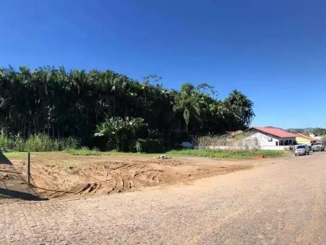 Terreno / Lote para Venda em Rio dos Cedros/SC Divinéia