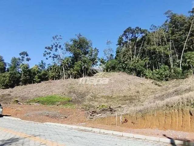 Terreno / Lote para Venda em Rio dos Cedros/SC Divinéia