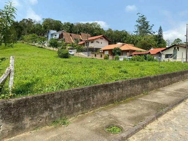 Terreno / Lote para Venda em Rio dos Cedros/SC Divinéia