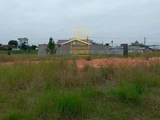 Terreno / Lote para Venda em Rio dos Cedros/SC Divinéia