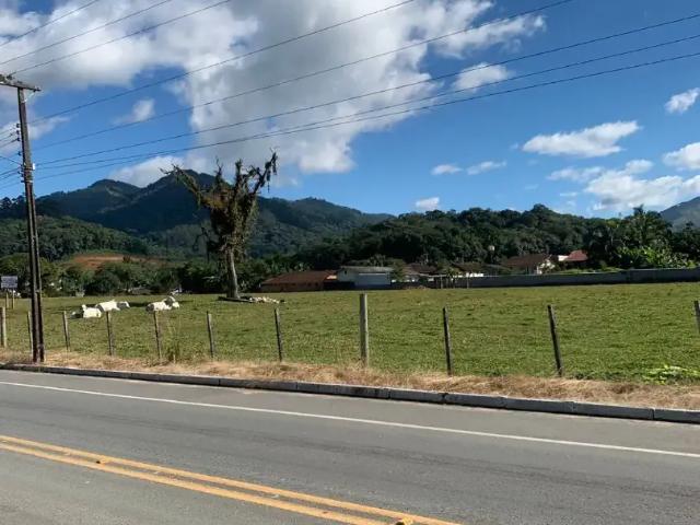 Terreno / Lote para Venda em Rio dos Cedros/SC Divinéia