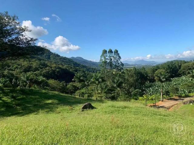 Terreno / Lote para Venda em Rio dos Cedros/SC Rio Assis