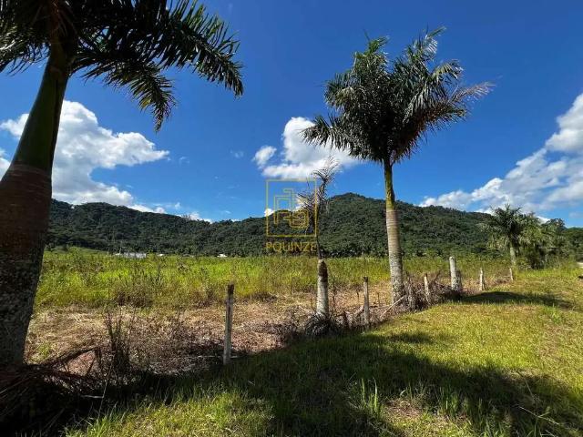 Terreno / Lote para Venda em Rio dos Cedros/SC Santo Antônio