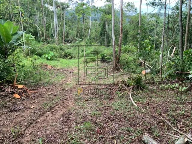 Terreno / Lote para Venda em Rio dos Cedros/SC Zona Rural