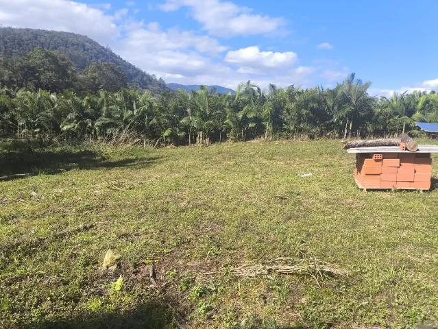 Terreno / Lote para Venda em Rio dos Cedros/SC Zona Rural