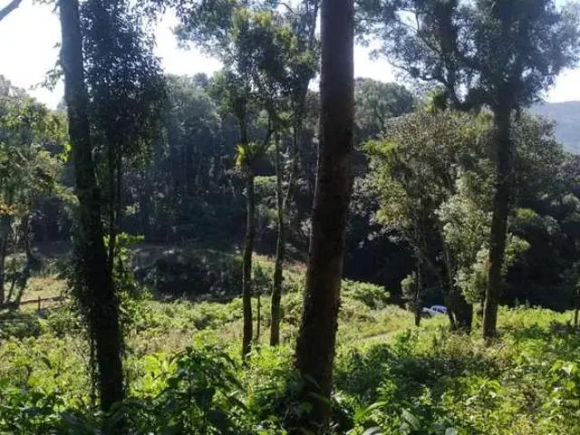 Terreno / Lote para Venda em Rio dos Cedros/SC Zona Rural