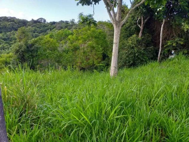 Terreno / Lote para Venda em Rio das Ostras/RJ Mar do Norte