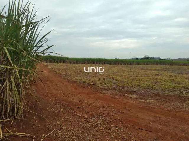 Terreno / Lote para Venda em Rio das Pedras/SP Batistada
