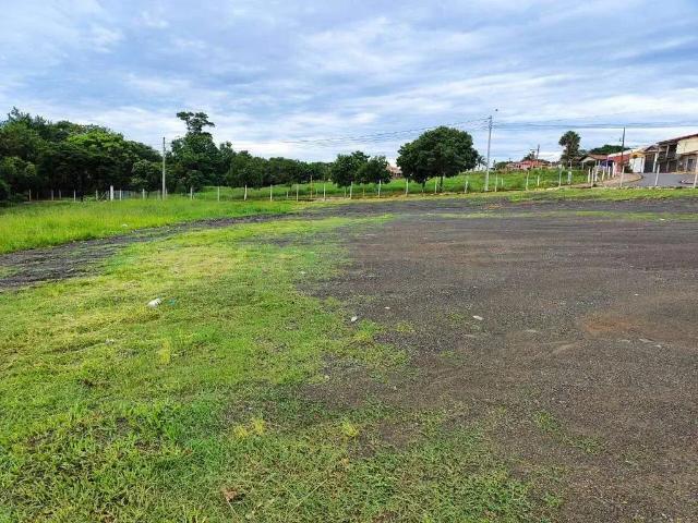 Terreno / Lote para Venda em Rio das Pedras/SP Centro