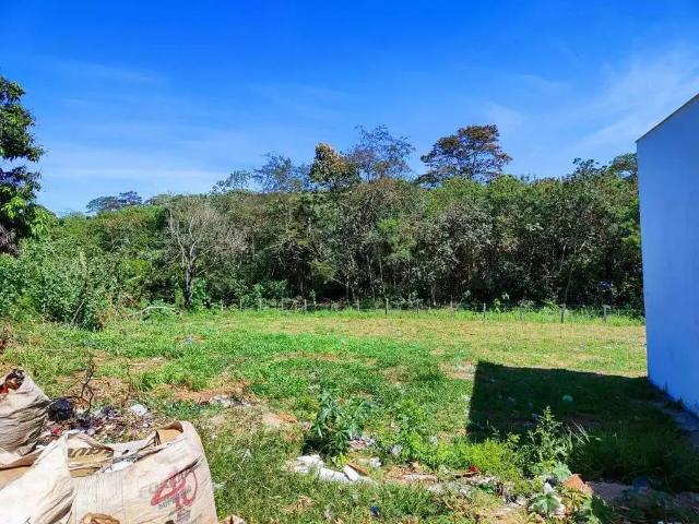 Terreno / Lote para Venda em Rio das Pedras/SP Jardim Dona Rosina