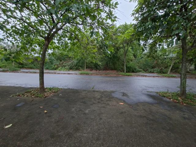 Terreno / Lote para Venda em Rio de Janeiro/RJ Barra da Tijuca