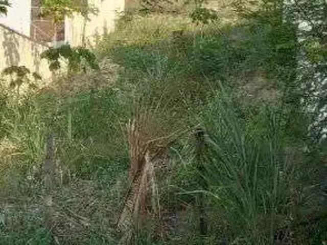 Terreno / Lote para Venda em Rio de Janeiro/RJ Campo Grande