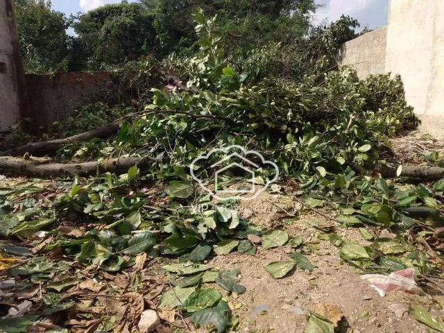Terreno / Lote para Venda em Rio de Janeiro/RJ Campo Grande