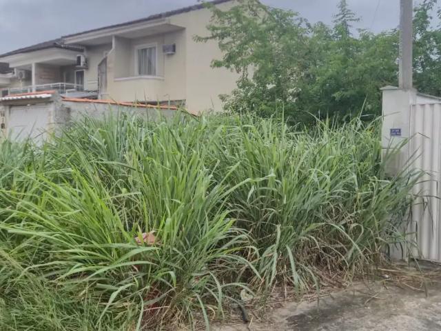 Terreno / Lote para Venda em Rio de Janeiro/RJ Campo Grande