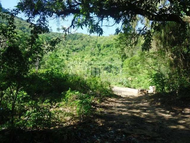 Terreno / Lote para Venda em Rio de Janeiro/RJ Campo Grande