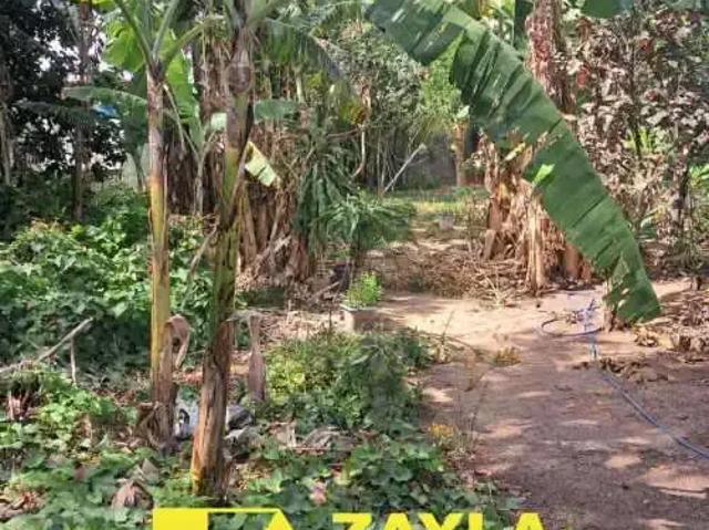 Terreno / Lote para Venda em Rio de Janeiro/RJ Cascadura