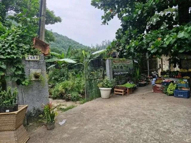 Terreno / Lote para Venda em Rio de Janeiro/RJ Freguesia Jacarepaguá