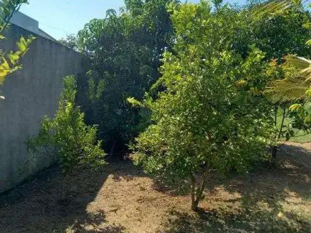 Terreno / Lote para Venda em Rio de Janeiro/RJ Guaratiba