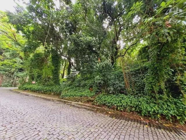 Terreno / Lote para Venda em Rio de Janeiro/RJ Lagoa