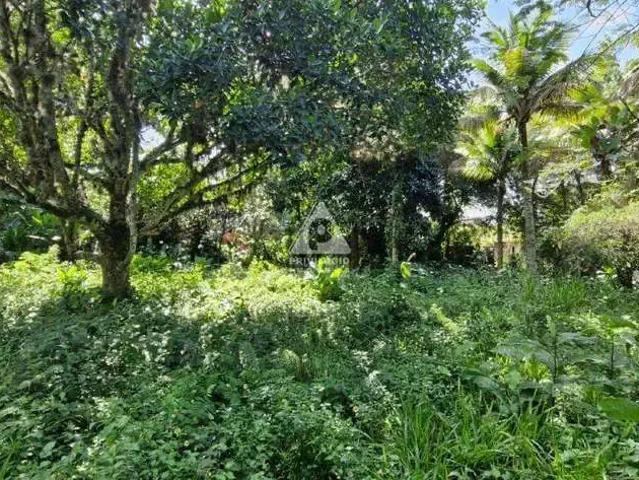Terreno / Lote para Venda em Rio de Janeiro/RJ Recreio dos Bandeirantes